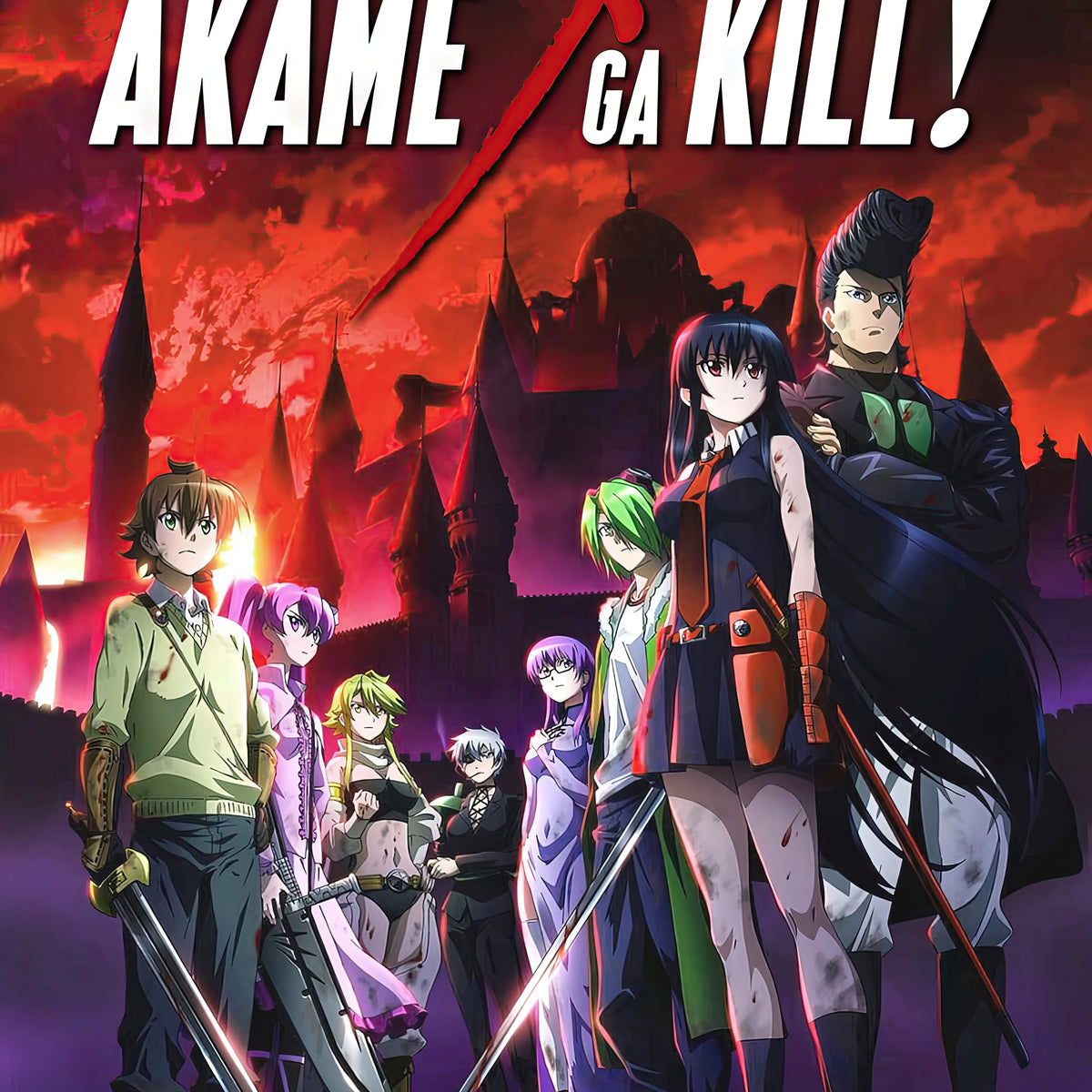 Anime Akame Ga Kill A2 Size Posters – Pixel Demon